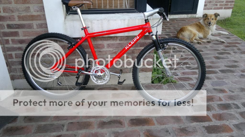 Let's see your entire mountain bike collection... | Page 12 | Retrobike